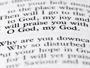 The Meaning of Specific Words in the Bible - Bible Gateway Blog