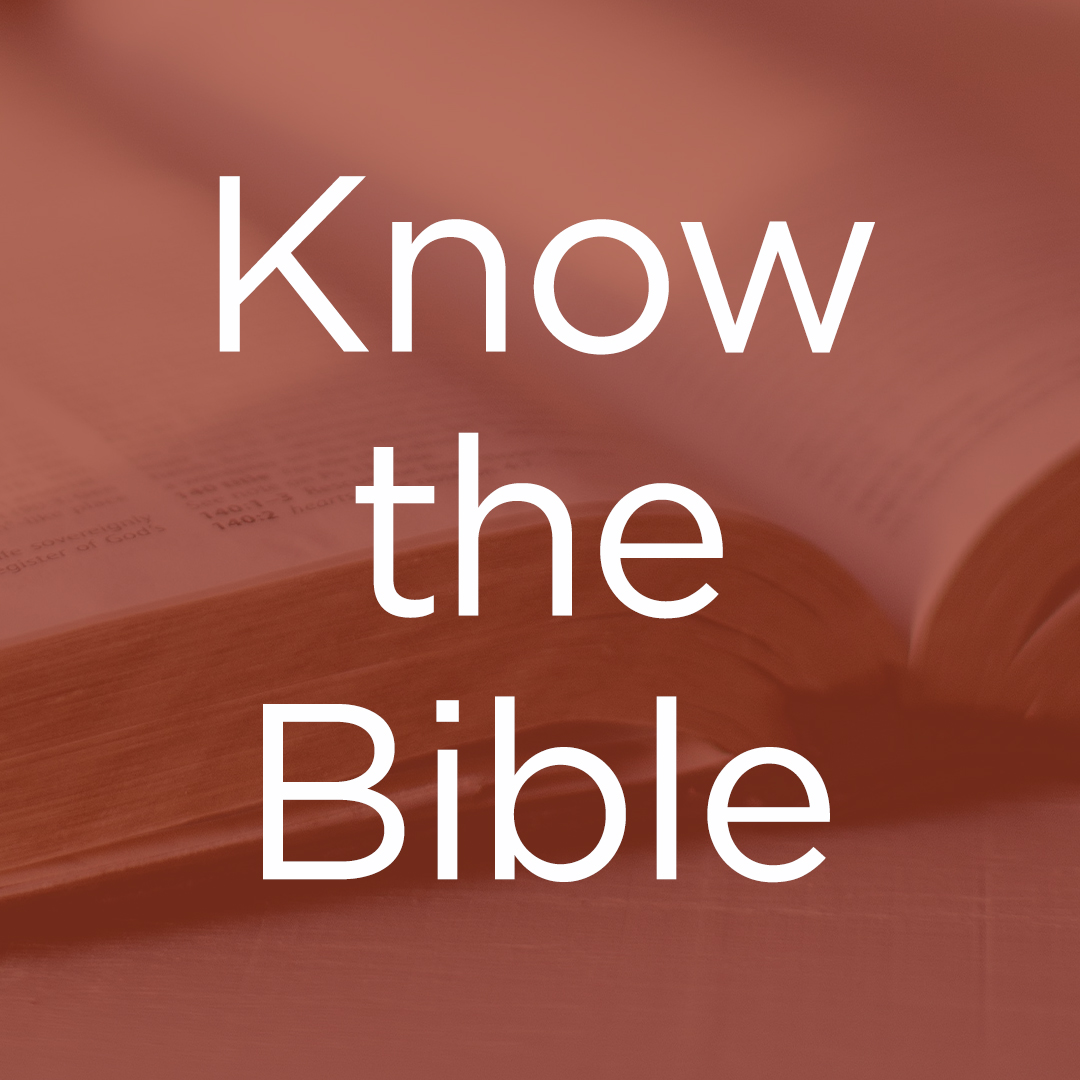 Looking for a Concise, Fundamental Grasp of Scripture? - Bible Gateway Blog